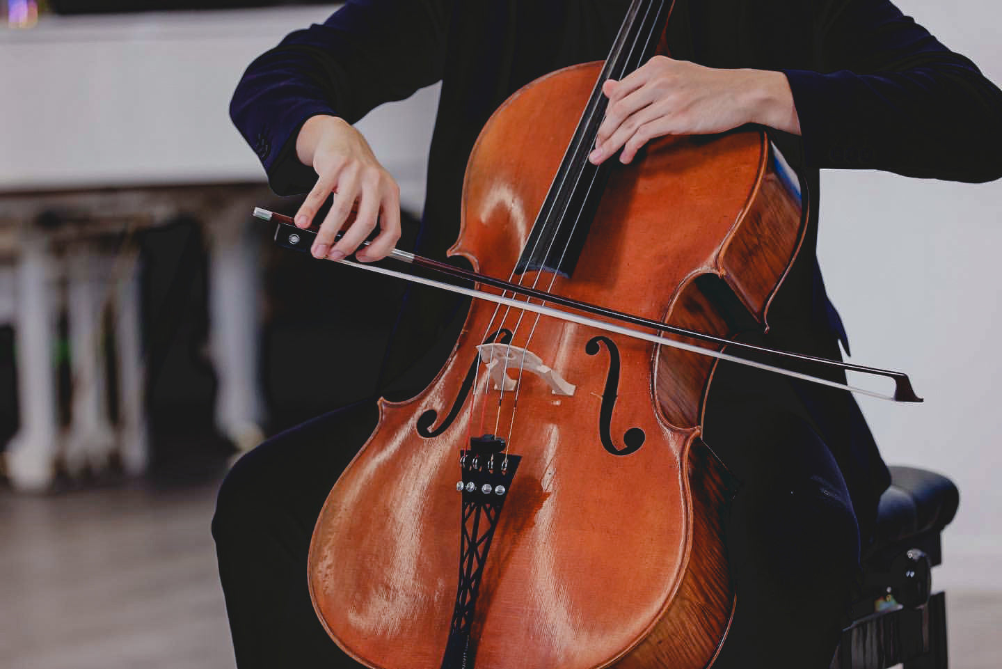 STRADPET Titanium Violin Accessories – STRADPET Official Store